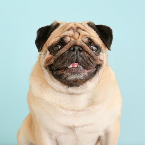 Archie Bailey Gallery - Lifes QR